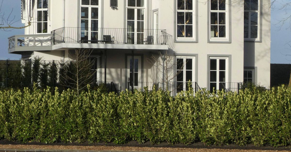 Gemeente Utrecht telt 8600 miljoenenwoningen