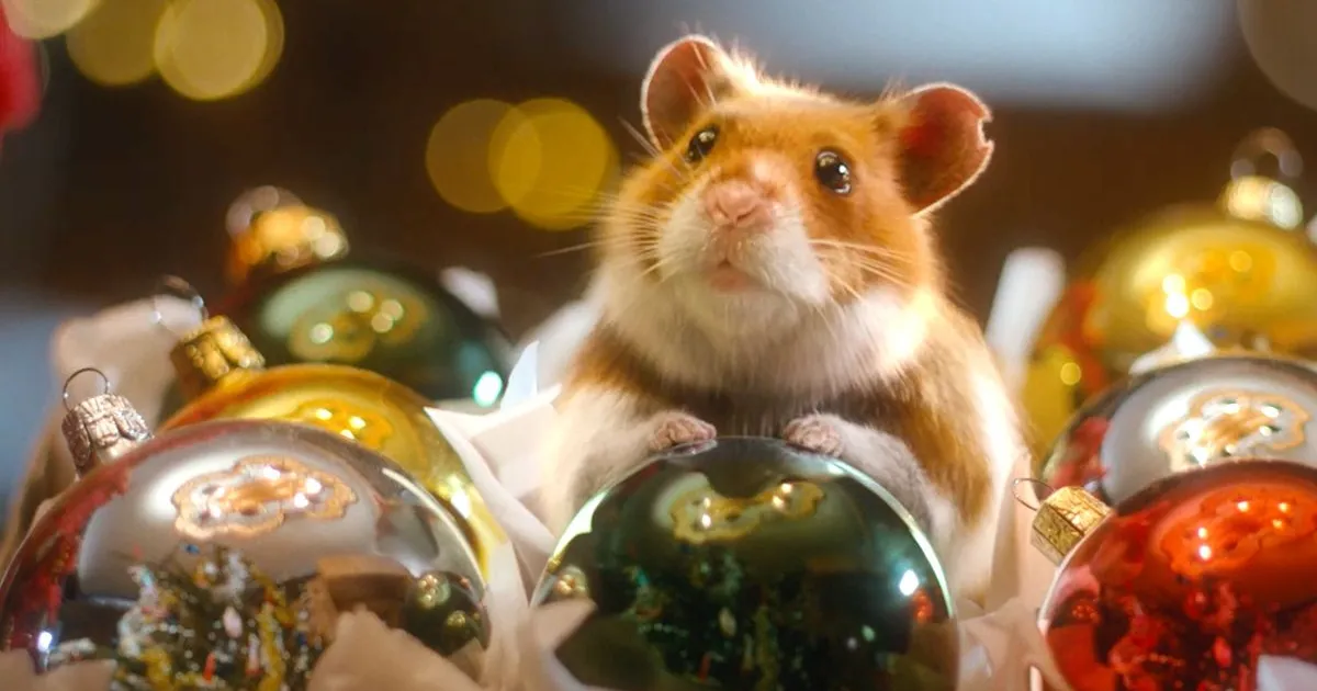 Harry de hamster weer hoofdrol in virale feel good kerstcommercial van ...