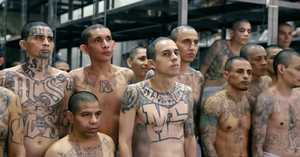 CECOT: De Meest Gevreesde Gevangenis ter Wereld – Een Kijkje Achter de ...