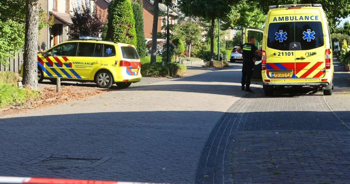 Dode bij schietpartij in woning, verdachte ook overleden