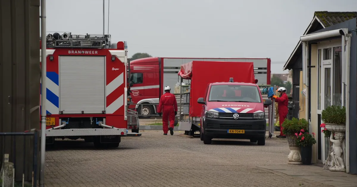 Brandweer uit Waspik bevrijdt vastzittend paard uit stal in Dongen