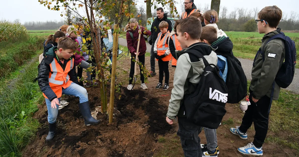 Leerlingen planten 24 bomen tijdens Boomfeestdag