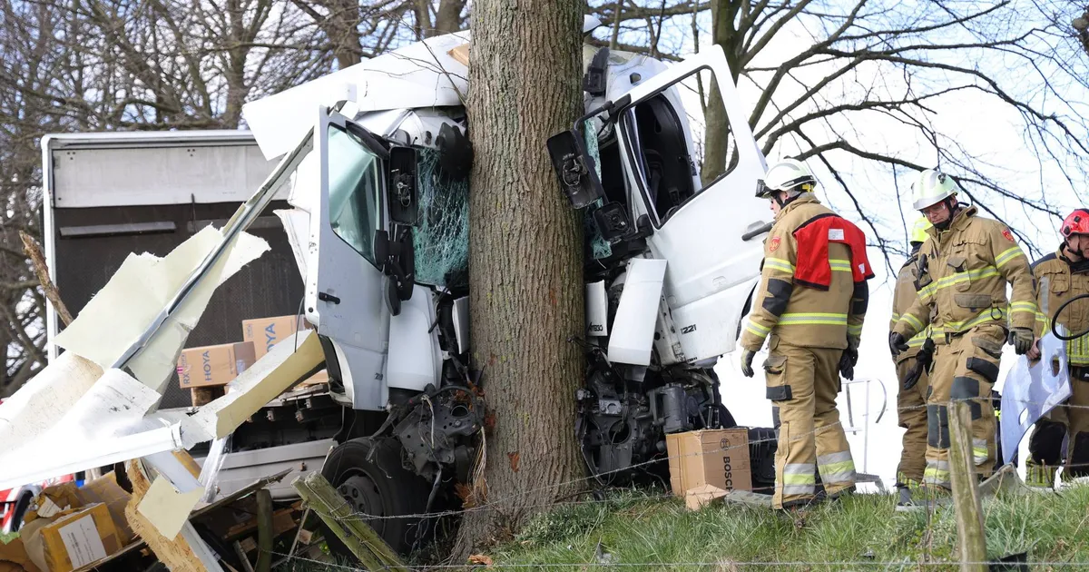 Vrachtwagenchauffeur zwaargewond na frontale botsing tegen boom op Zomerdijk