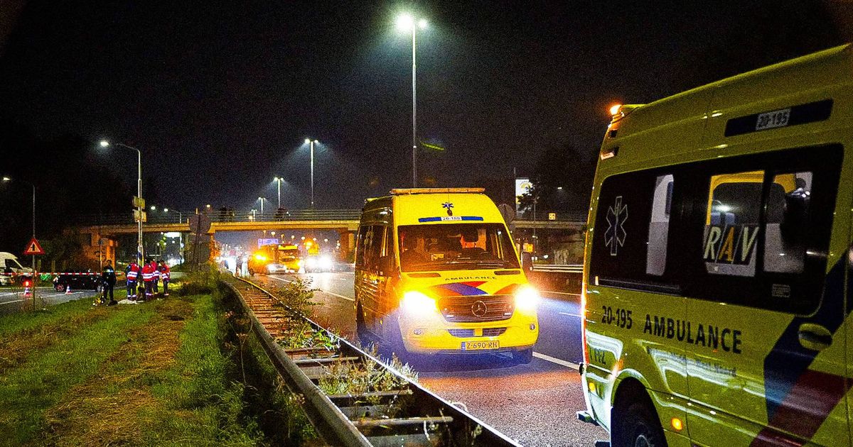 Dodelijk ongeval op A59 bij Waalwijk: vrouw steekt snelweg over