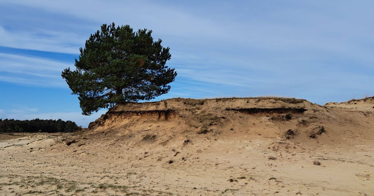 Geoloog Hans van Dijk geeft lezing over natuurlijke landschap Langstraat