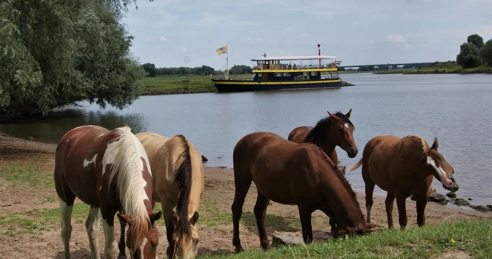 De Blauwe Bever zoekt vrijwilligers: schippers, gidsen, maatjes en matrozen
