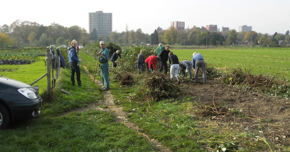 Natuurwerkdag historisch open landschap de Wageningse Eng