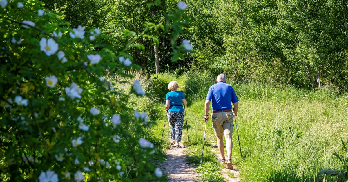 Wetenschappers: zoveel stappen moet je echt zetten per dag