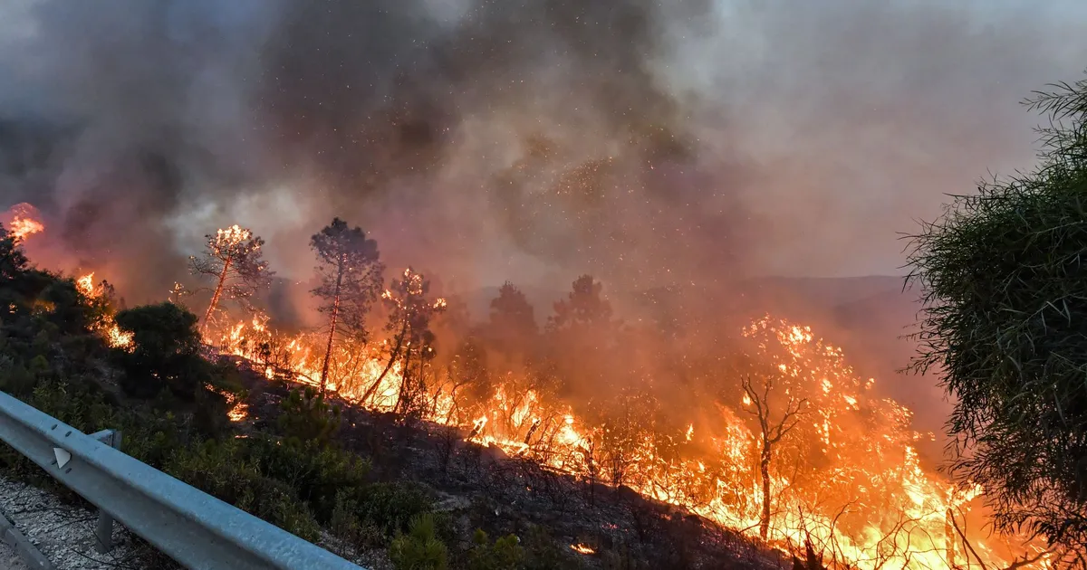 Hittegolven Zuid-Europa onmogelijk zonder klimaatverandering. En ze ...