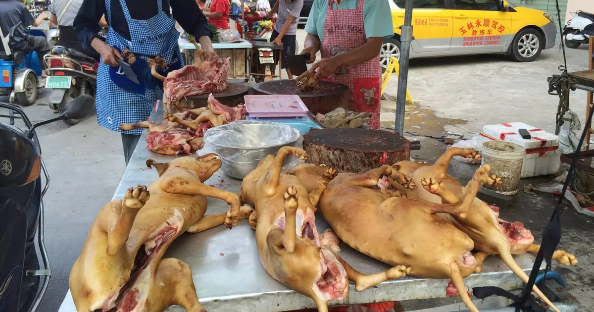 Hond eten wordt verboden in Zuid Korea