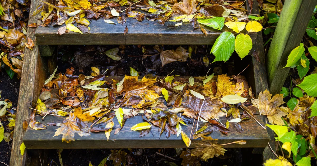 Doe lekker niks in je tuin: Vijf redenen om bladeren te laten liggen