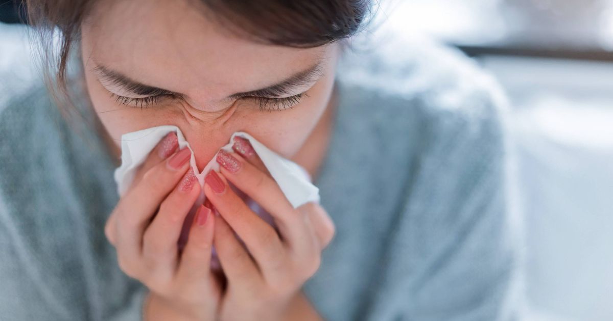 Waarom je ineens toch allergisch kunt worden (ook als volwassene!)