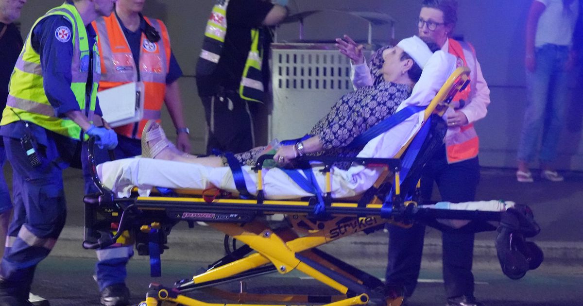 Zien: Held grijpt schutter bij Bondi Beach, ‘gewone Australiër’ redt ...