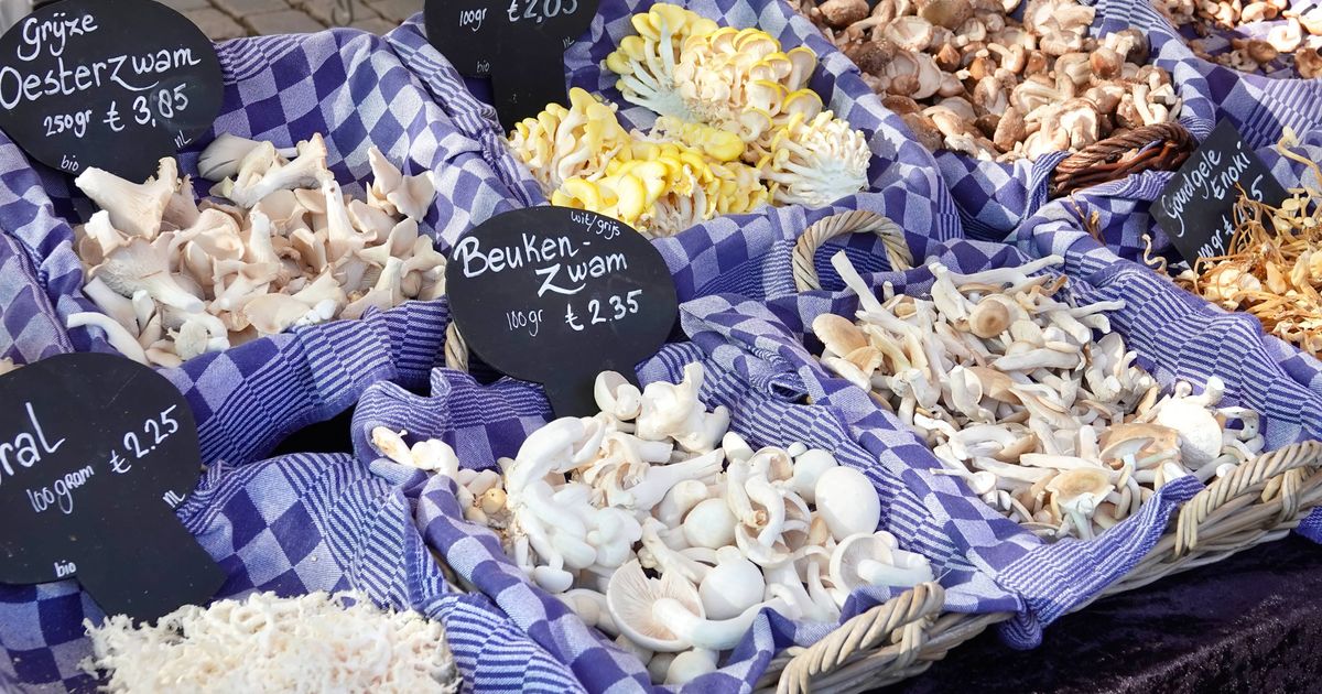 Umami als reddende engel: ‘vijfde smaak’ kan wereld van verschil kan ...