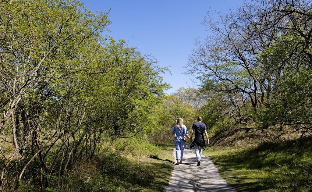 Zuid-Holland wil rust maar ook meer recreatie in Hollandse Duinen