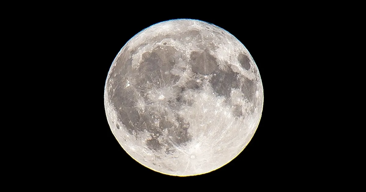 Ontdek de Magie van de Natuur in het Donker met Natuur- en Milieufederaties