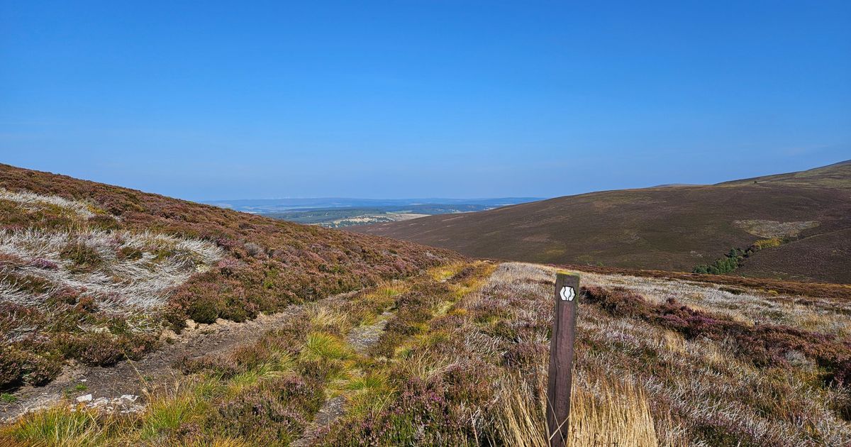 Vraag Maar Raak: Naar welke Schotse whiskyregio gaat (stiekem) jouw ...