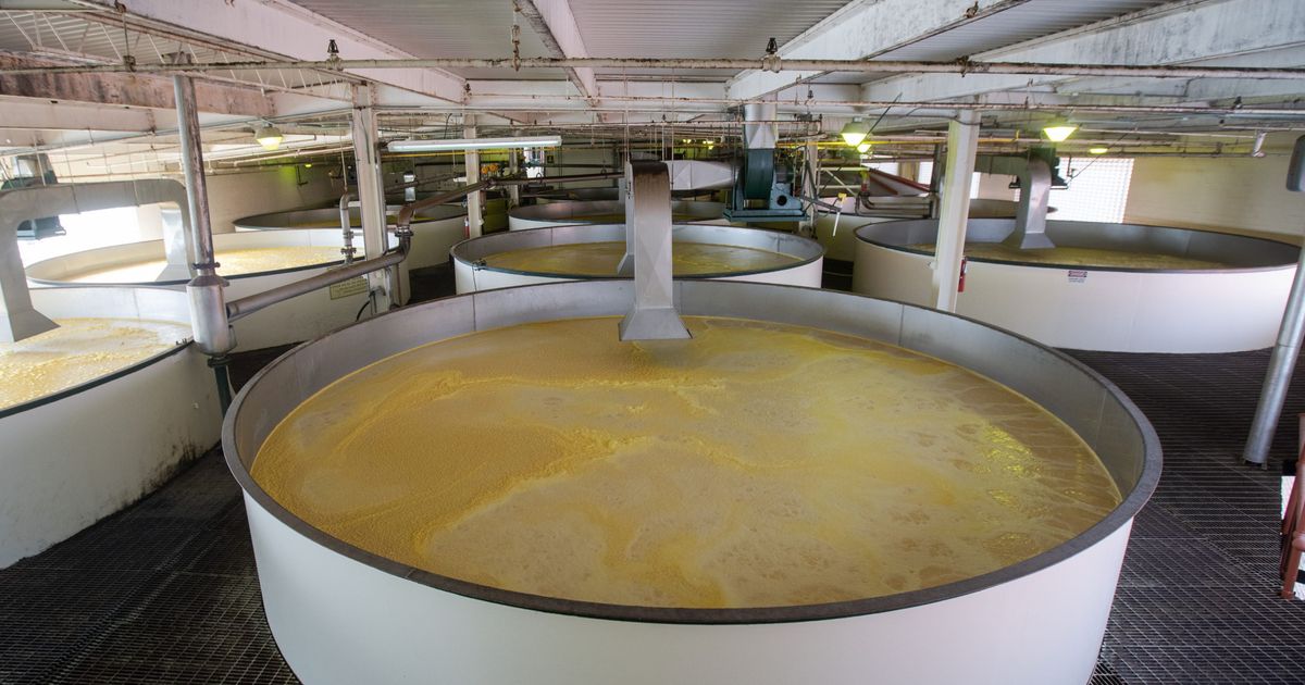 How to Whisky: How Fermentation Shapes Whisky’s Flavor