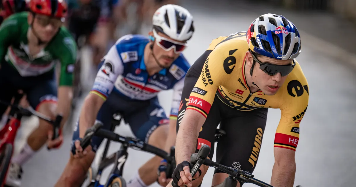 Definitieve startlijst Dwars door Vlaanderen 2024 met Wout van Aert ...