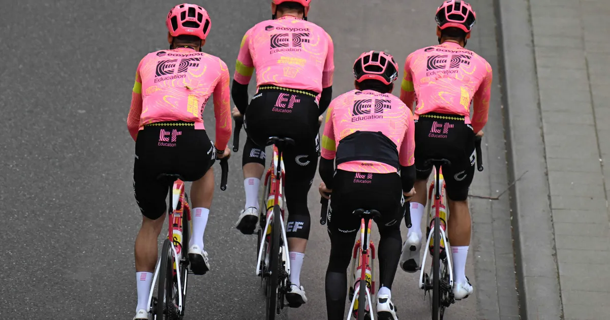 Aevolo wordt in 2025 het ontwikkelingsteam van EF Education-EasyPost ...