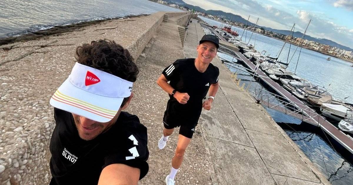 Greg Van Avermaet benadrukt dat de wonderbenen van Mathieu van der Poel ...