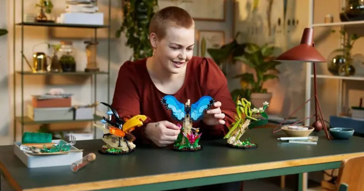 Deze LEGO-set wordt nooit meer gemaakt en is nu lekker goedkoop