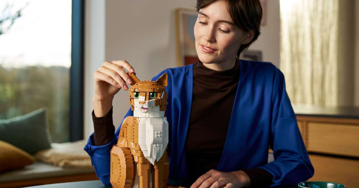LEGO Ideas Oranje Kat breekt prijsrecord: nu goedkoper dan ooit