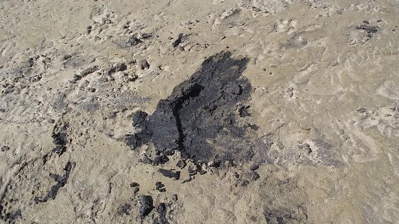 HVC haalt twee waterschappen binnen voor verwerking slib