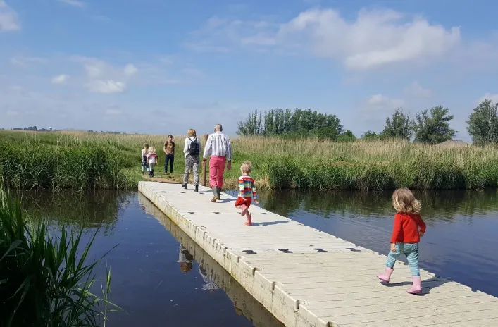Nu nog gratis wandelen over water in het Guisveld, maar de vraag is hoe ...