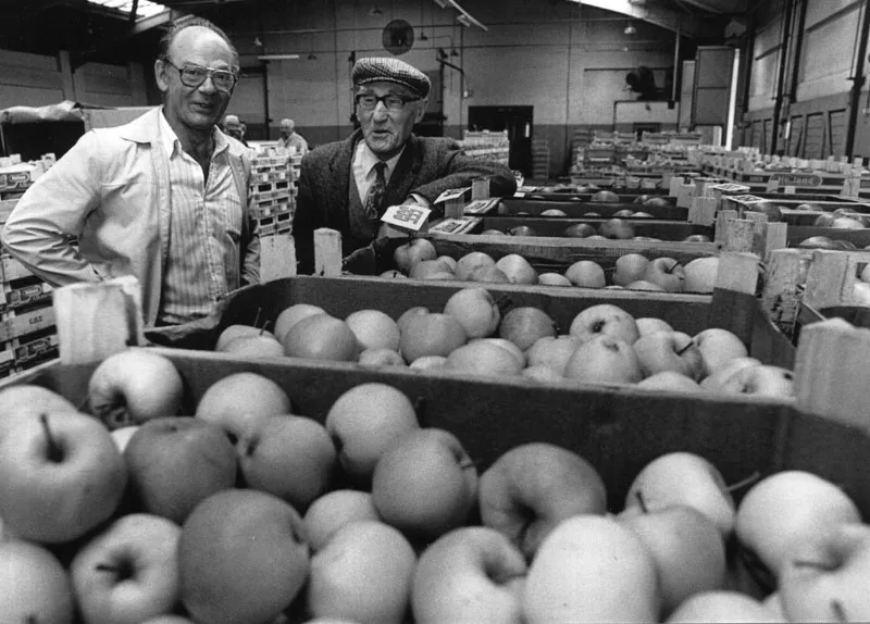 Documentaire over groenten- en fruitveiling in Zevenaar