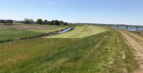 Waterschap Drents Overijsselse Delta gaat dijken ‘bijvriendelijk’ maaien