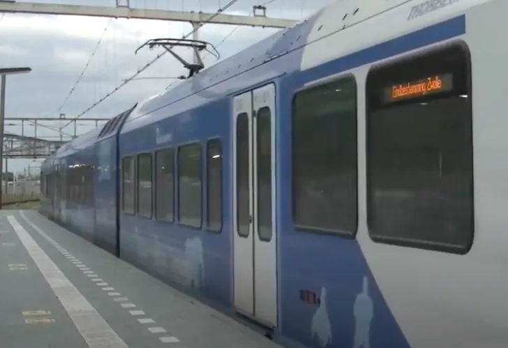 OM eist gevangenisstraf van acht maanden tegen prominente Zwolse graffiti-spuiter