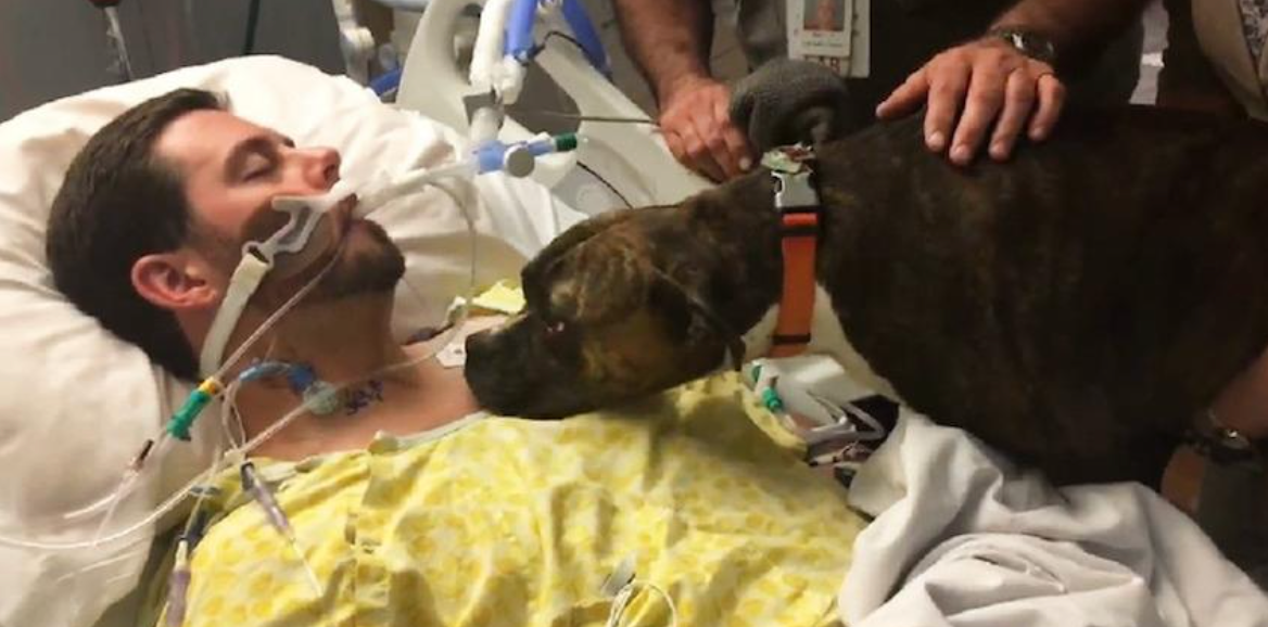 Hond naar het ziekenhuis gebracht om afscheid te nemen van haar stervende baasje
