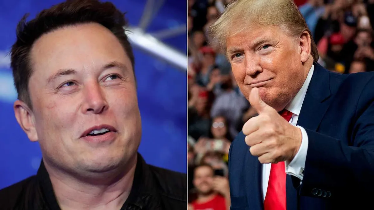 Laat uw stem horen! Mag Donald Trump weer op Twitter? | LOESOE