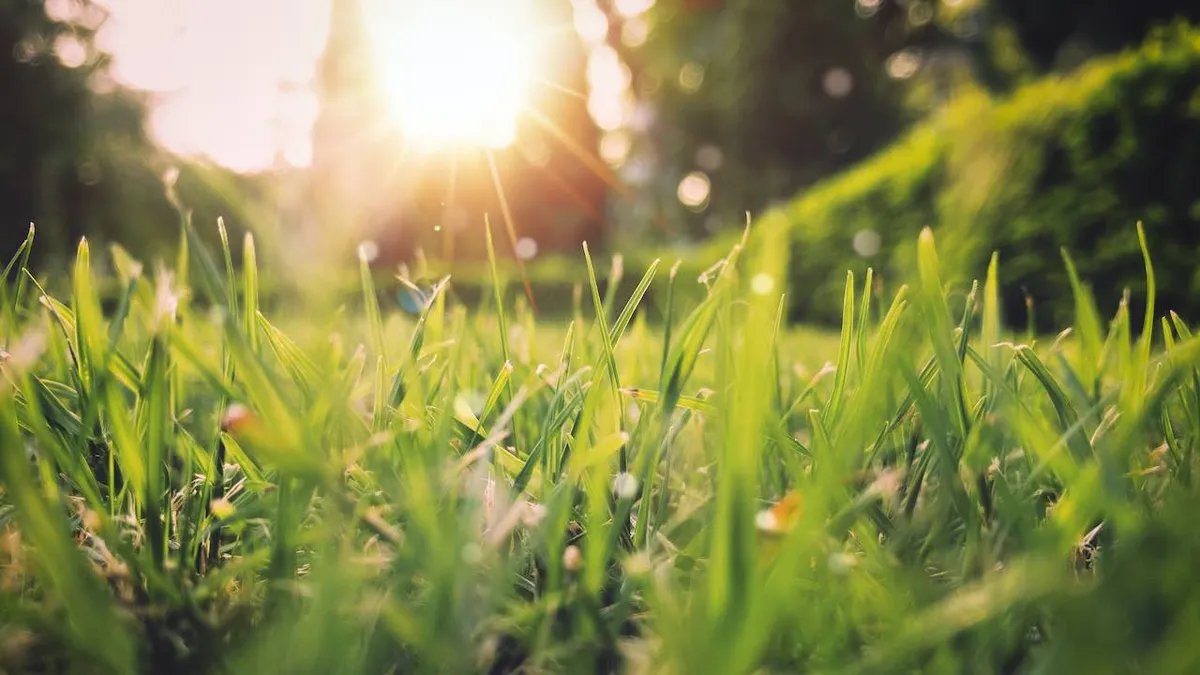 Weerbericht: Flinke verandingen met zon en warme temperaturen op komst
