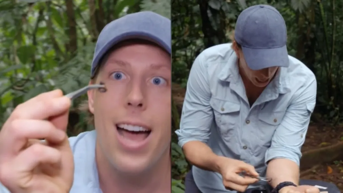 Freek Vonk krijgt pijnlijkste insectenbeet ter wereld (BEELDEN) | LOESOE