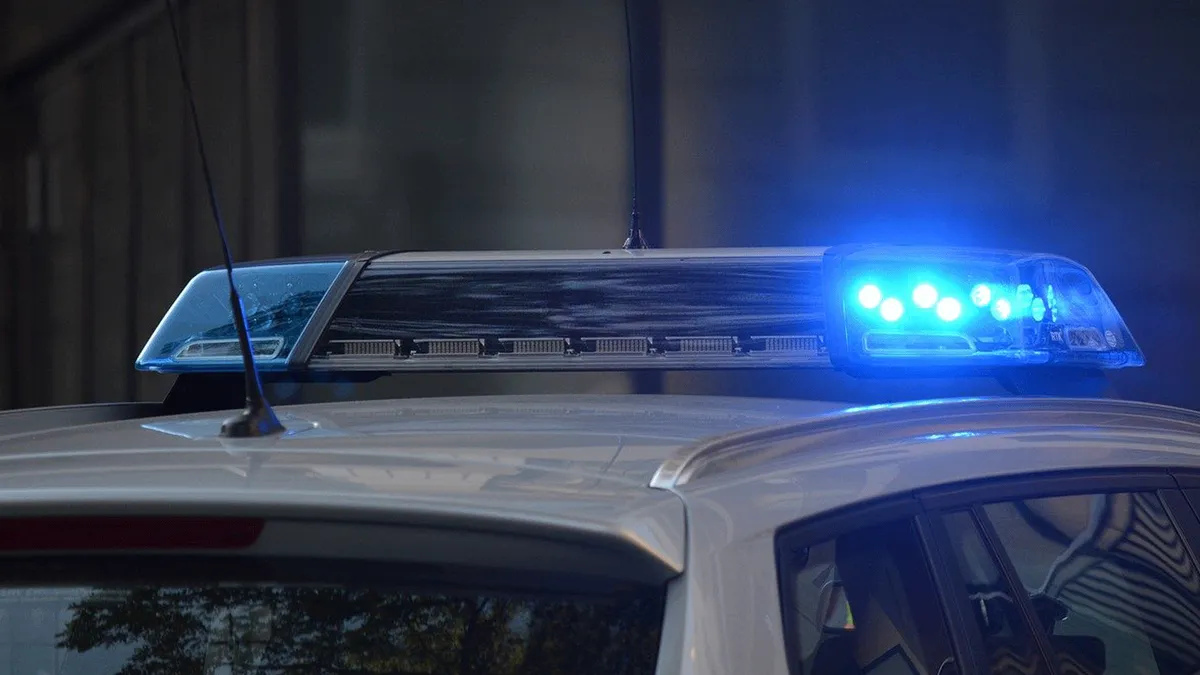 Bekende MMA-vechter opgepakt: Laat chaos achter in hotel (video ...