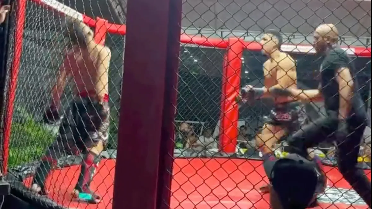 Schokkende knock-out zorgt voor verwarring tijdens MMA-gevecht | video ...
