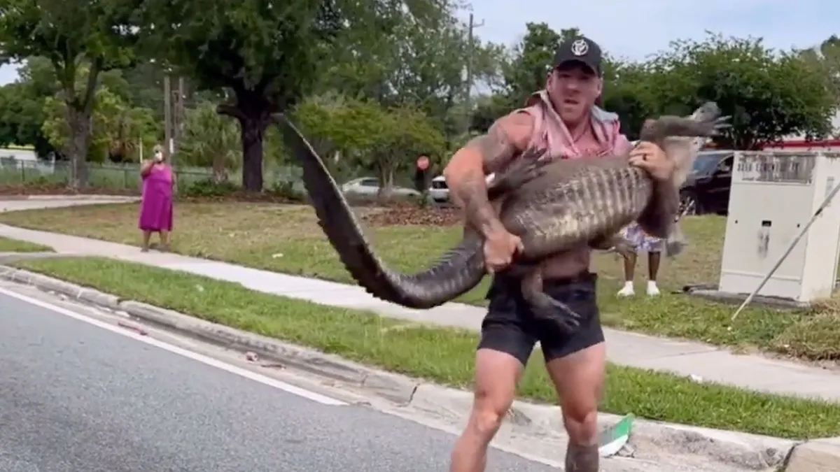 🎥 MMA-vechter vangt gevaarlijke alligator met z'n blote handen ...