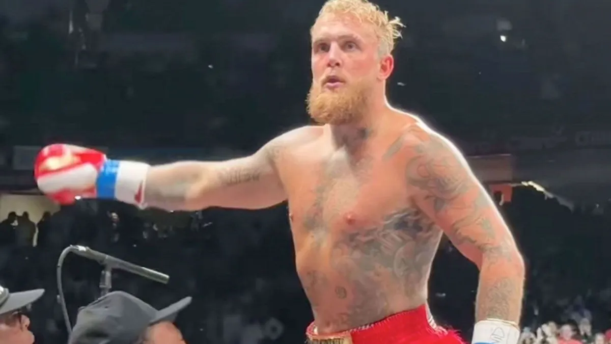 Jake Paul laat UFC-ster McGregor slapen met één stoot - Video bewijst ...