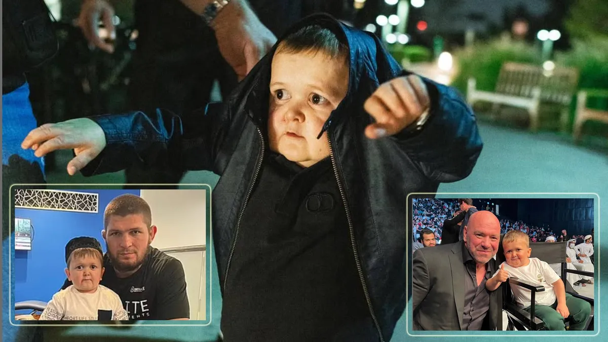 Schokkend: UFC mascotte Hasbulla steelt miljoenen in 1 uur - fans ...