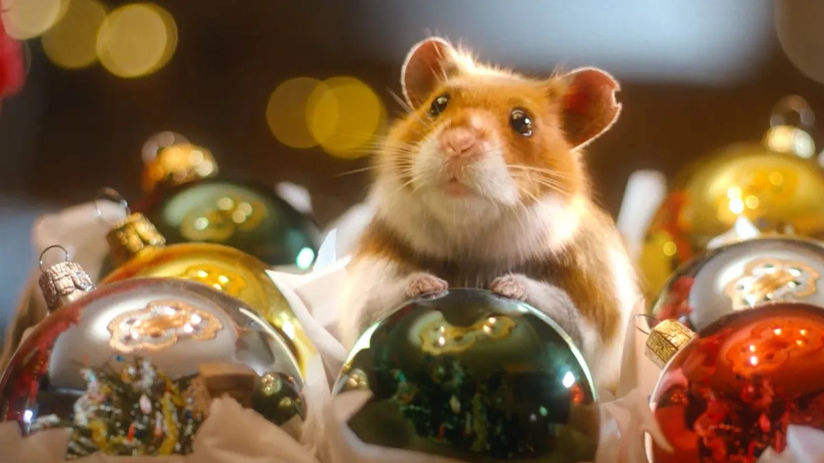 Harry de hamster in de feel good kerstcommercial 2024 van Albert Heijn ...