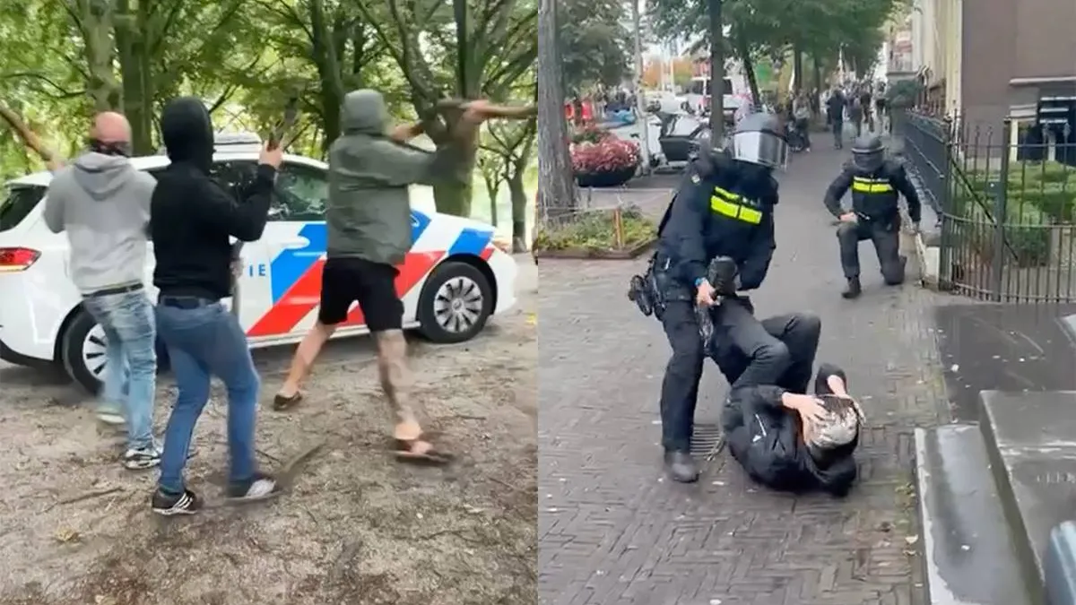 Gewoon een gezellige compilatie van 'hooligans' die losgaan in Den Haag ...