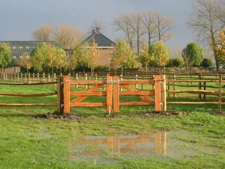 Hekken van de Veluwe; groene inspiratie voor afrastering en inpassing