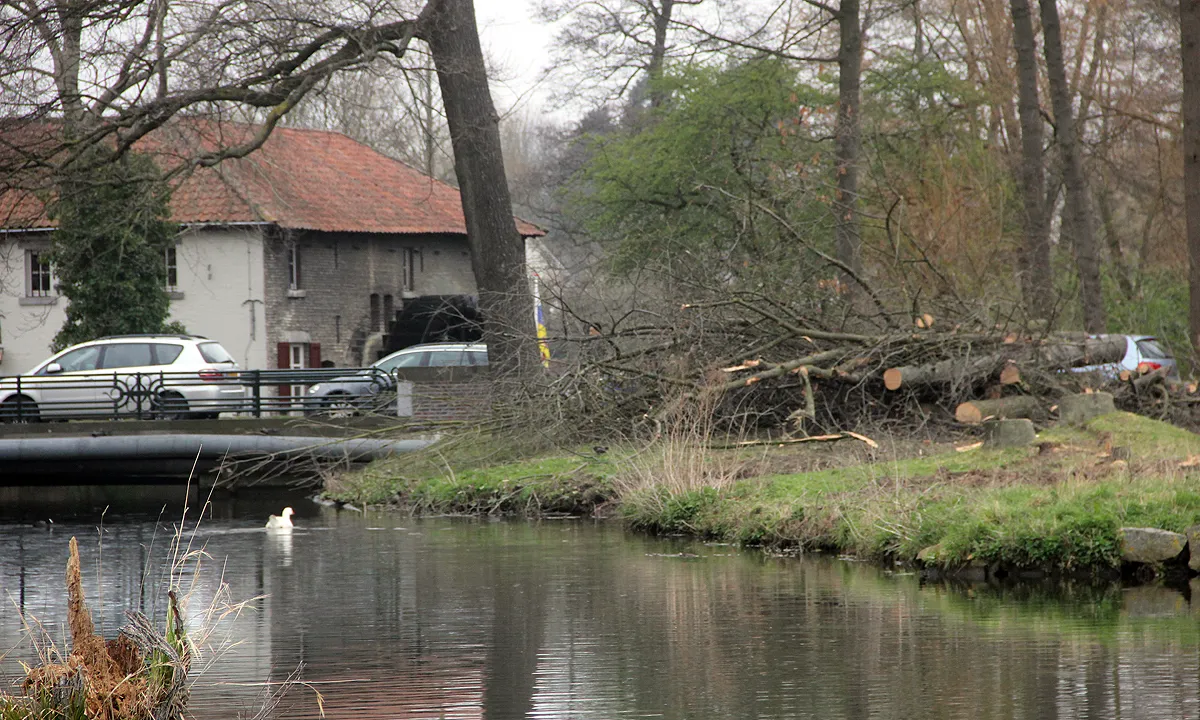 Bomenkap langs oevers Geleenbeek bij Ophovenerhof