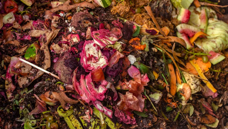 Houd uw GFT-container schoon deze zomer