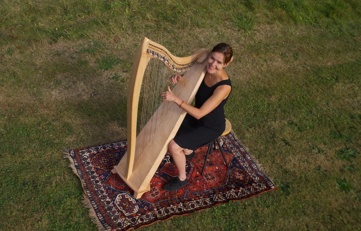 Extra harpconcert bij boekhandel Jansen en de Feijter