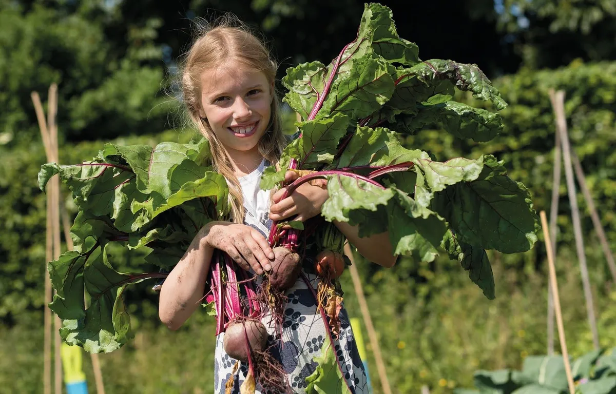 Elke Arnhemse school een eigen moestuin