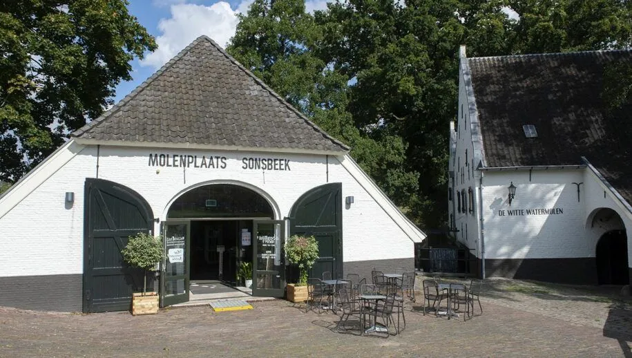 Wandelroute ‘Arnhemse bomen vertellen’ begint in Sonsbeek