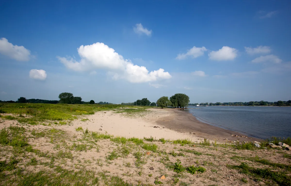 Onderhoud van begroeiing in de uiterwaarden